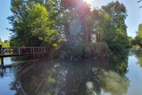 Page d’accueil - Site officiel de la ville de Fresnes (94)